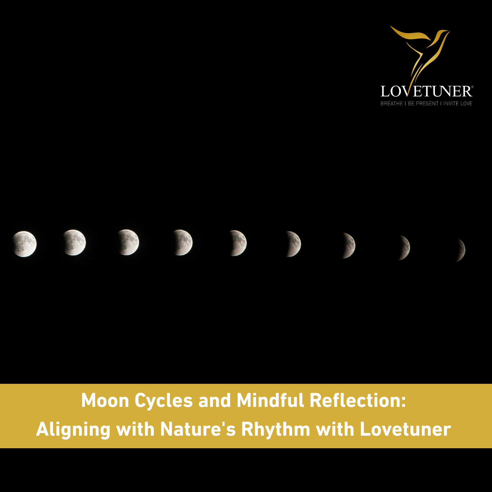Moon Cycles and Mindful Reflection with 528 Hz – Lovetuner
